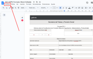 Descargar Formato DC1 en Word Editable