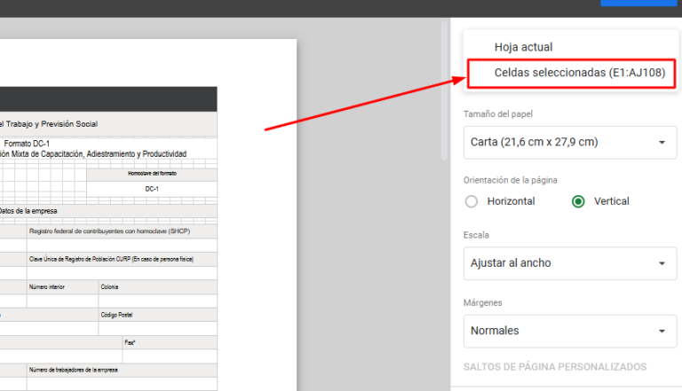Descargar el Formato DC1 en Excel: Plantilla editable