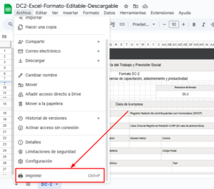 Descargar el Formato DC2 en Excel: Plantilla editable