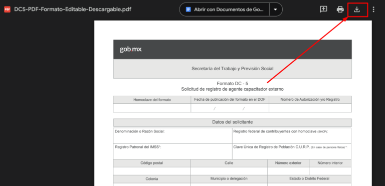 Descargar el Formato DC5 en PDF: Plantilla editable